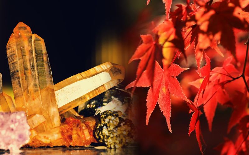 The Crystals You Need for the Fall Season – Buddha & Karma